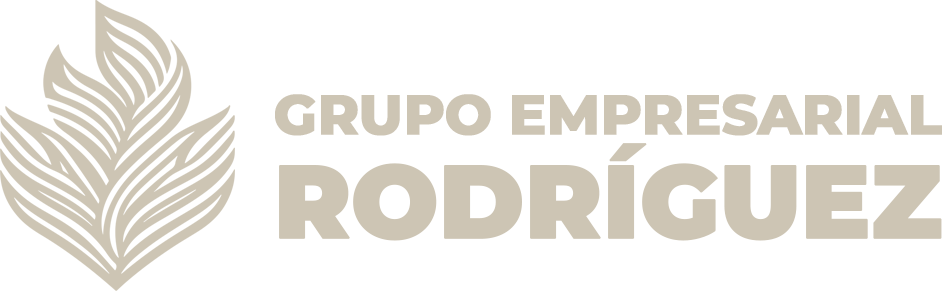 GER – Lideramos negocios.